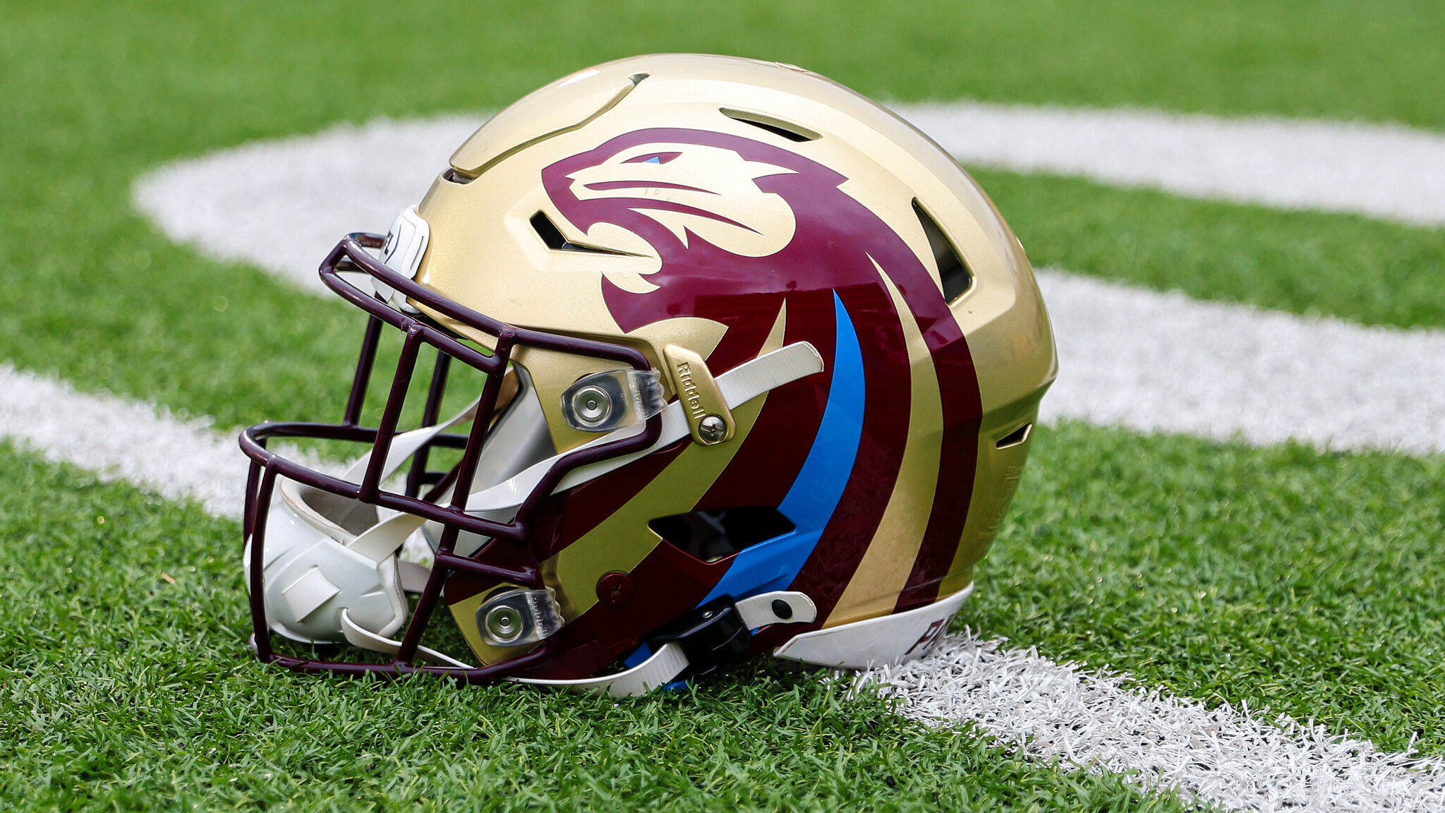 Panthers Camps & Clinics